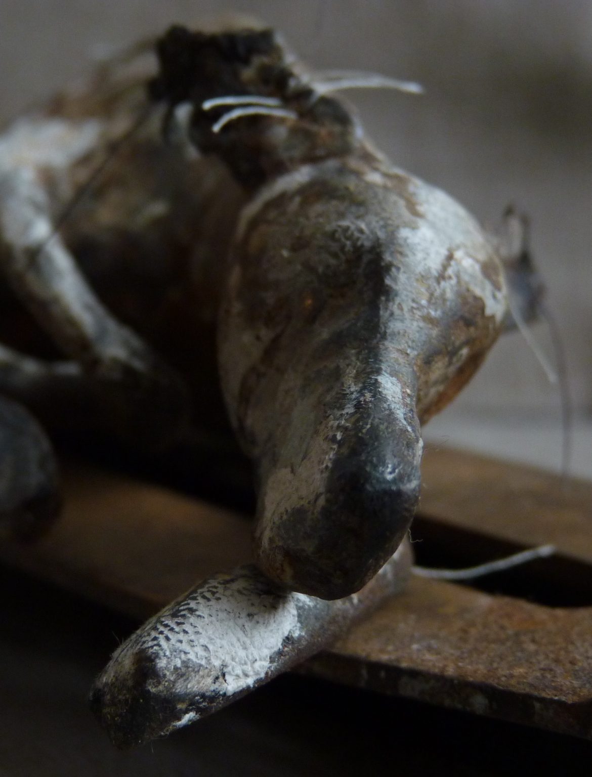 Gallery – Holy Smoke